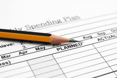 11 Best Budget Planners For Beginners for 2023 - Dollarsanity