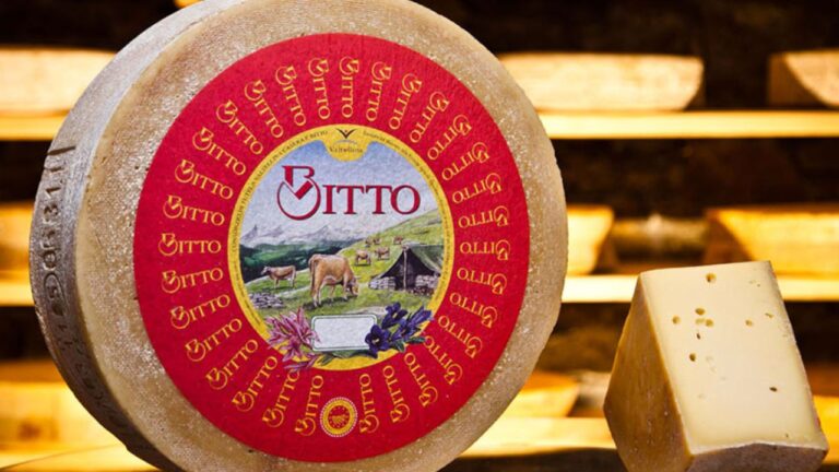 5 Most Expensive Cheeses In the World - Dollarsanity