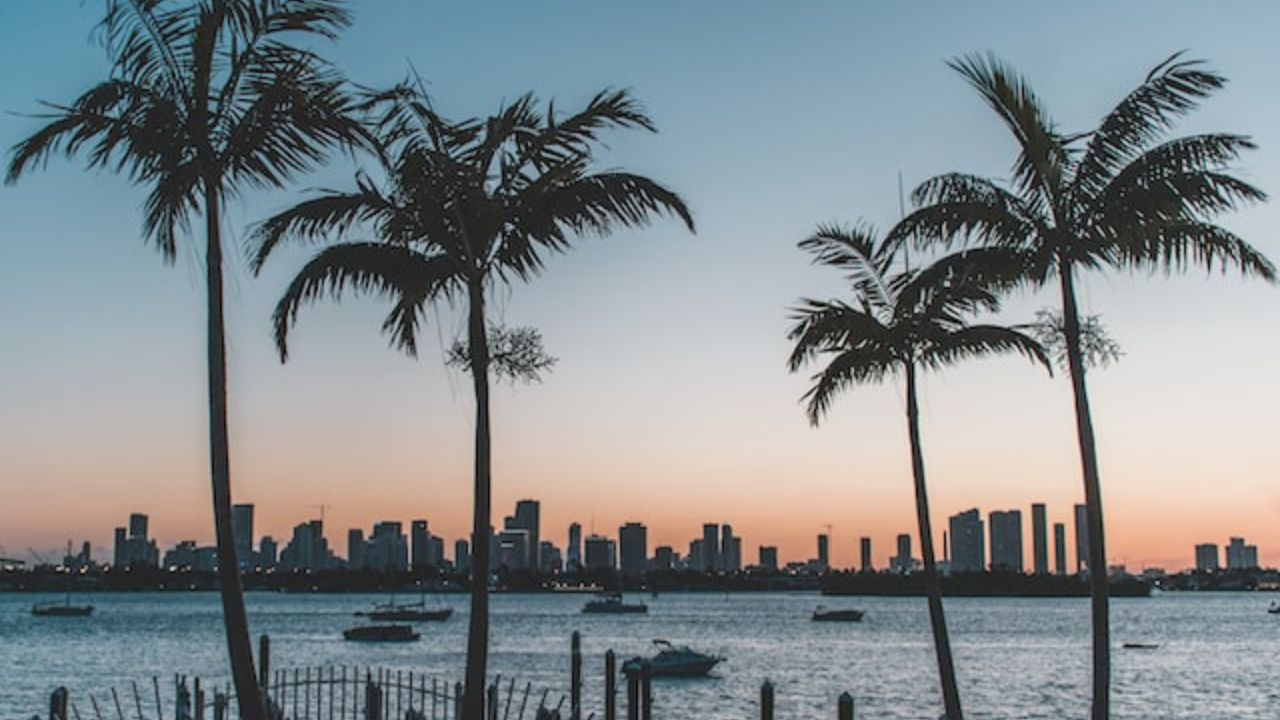 Best Places To DoorDash In Florida Dollarsanity