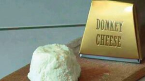 5 Most Expensive Cheeses In the World - Dollarsanity