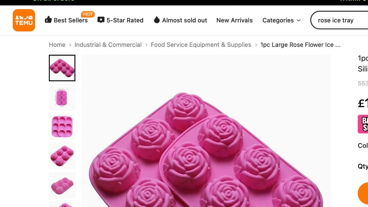 12 Best Things To Buy On Temu App - Dollarsanity